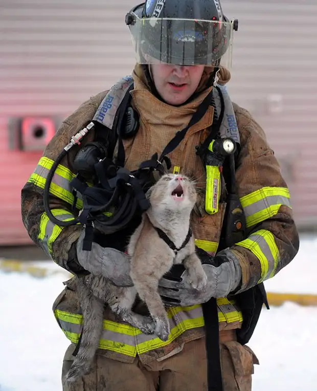 ペットを救助した消防士