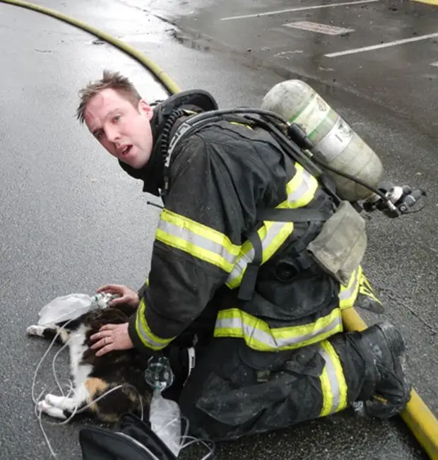 Firefighters who rescued pets