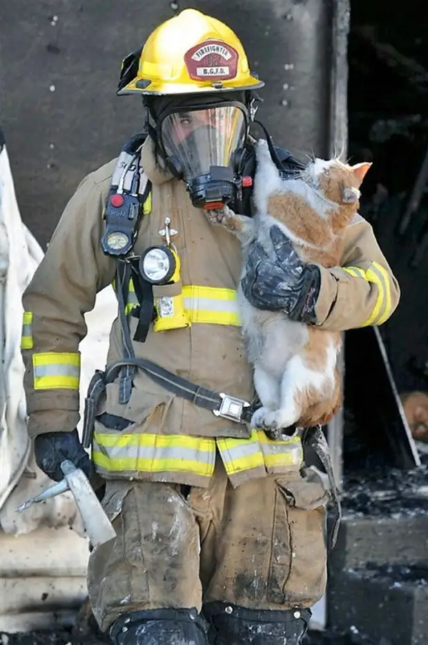 Пожарникари спасиха домашни любимци