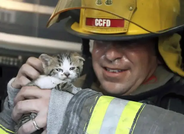 ペットを救助した消防士