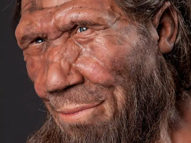 Scientists: Vegetarianism helped Cro-Magnons defeat Neanderthals