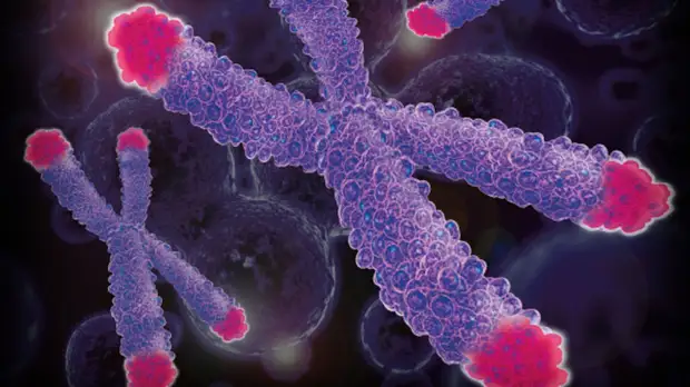 La prima terapia genica antietà al mondo