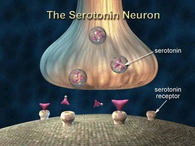 Hormone ti ayo: GBOGBO OHUN ti O ko Mọ Nipa Serotonin