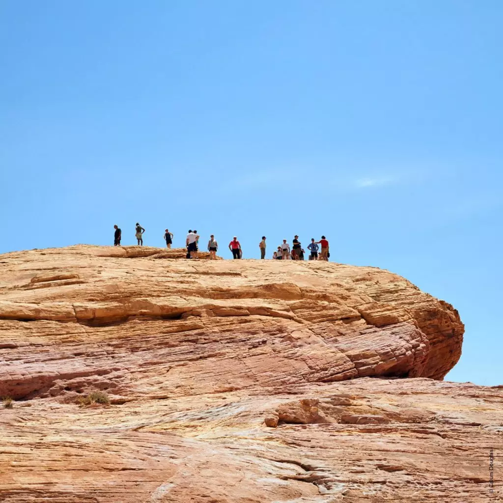 Groot nie-groen nie-mense, of hoe aliens kan lyk