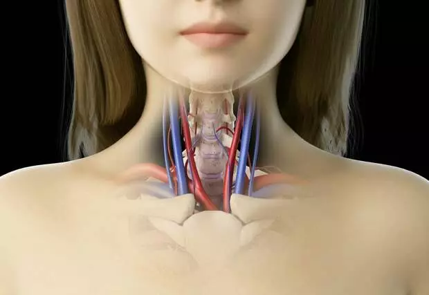 Olutirasandi ti awọn iṣọn carotid jẹ ọna iwadii iyara ati ailewu