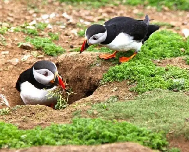 26 áhugaverðar staðreyndir um heiminn okkar