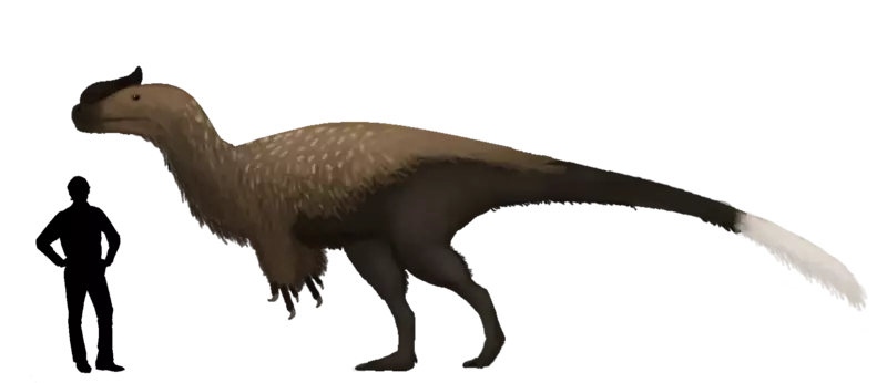 800px-Sinotyrannus