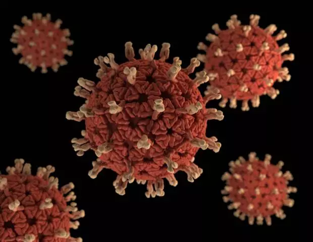 Rotavirus: hoe word dit oorgedra en gaan dit voort?