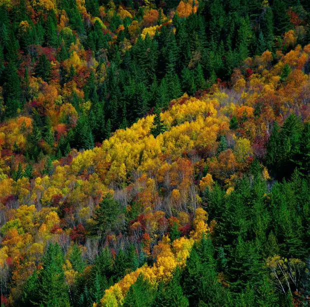 Okouzlující krajina Číny