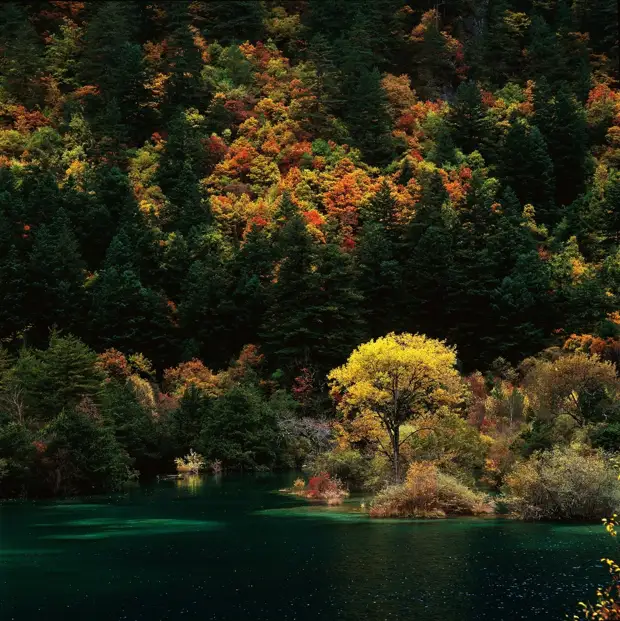 Çin'in büyüleyici manzaraları