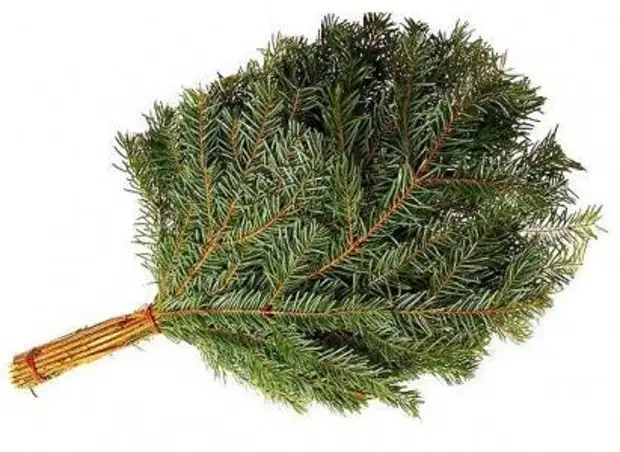 I-coniferous broom massage