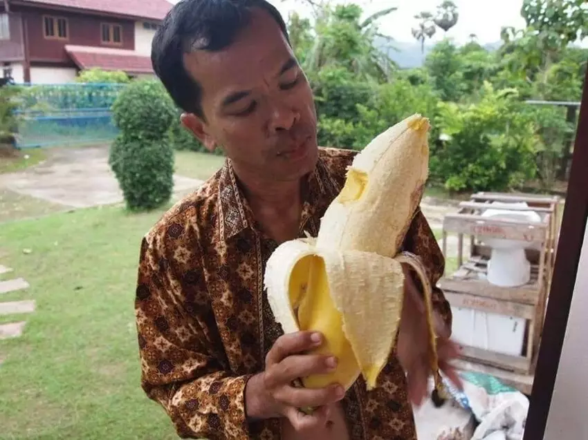 Banan Kluay