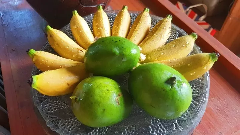 Banana Senorita (banana Senorita)