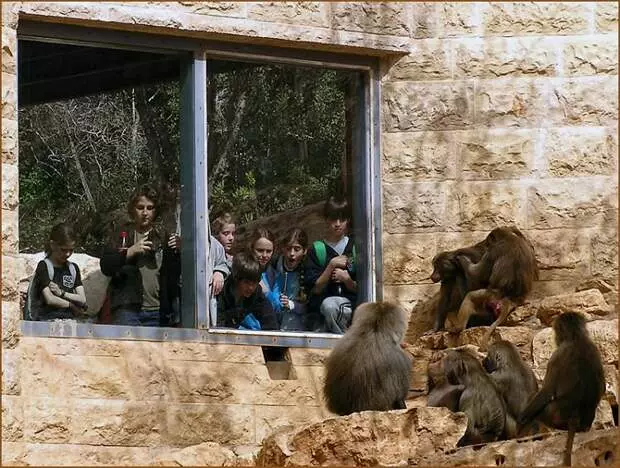 Si sinn déiselwecht wéi mir - Amateurfotografen. (Erfahrungen an der Zoogenre Fotografie)