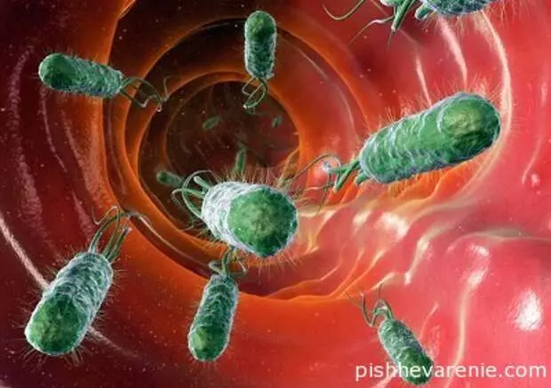 Gastritis - kako se ne zaraziti Helicobacter pylori?