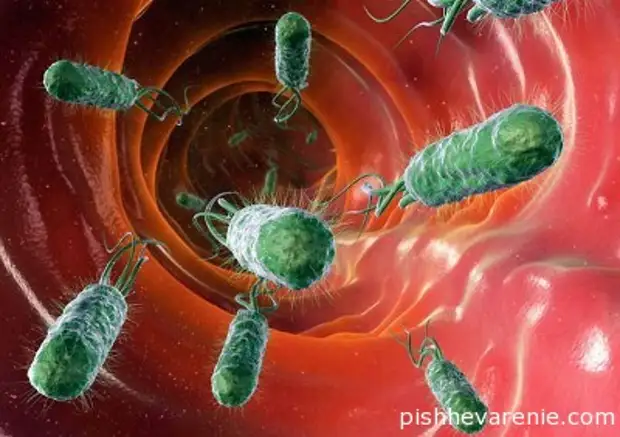 Gastrite - kif ma tiġix infettata b'Helicobacter pylori?