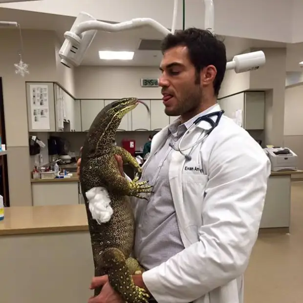 Veterinar15