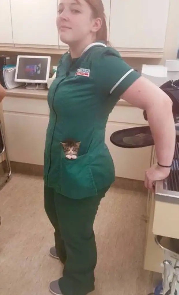 Veterinarju8