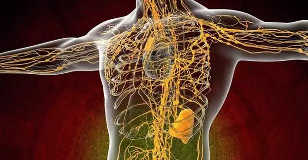 10 enkla sätt att rengöra ditt lymfsystem Endast naturliga botemedel!