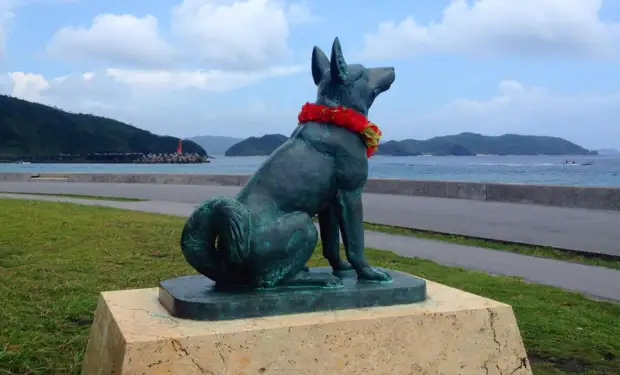 Si la gente supiera amar, como aman los perros, el mundo se convertiría en el paraíso ...