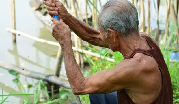 Uma maneira fácil de preservar músculos na velhice