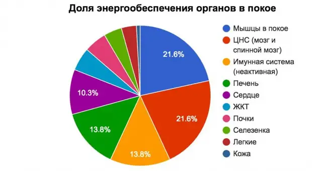 Diňe içgin pikirlenip, horlanyp bilerismi?