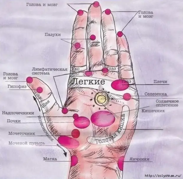 ¡Nuestra salud está en nuestras manos! ¡Nos tratan a mano!