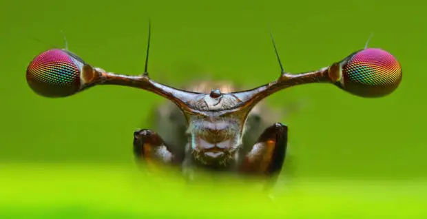 ಪ್ರೀತಿ ಪ್ರೀತಿಸುವುದಿಲ್ಲ