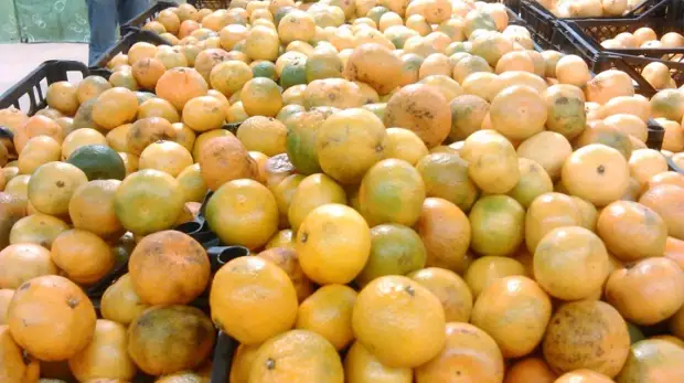 tangerines