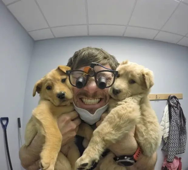 El dentista de Alaska y sus adorables perros conquistaron Internet