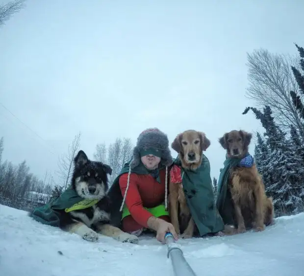 Alaska dokter gigi jeung anjing lucu na nalukkeun internét