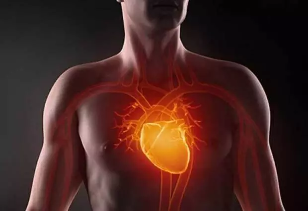 Có thể trở nên khỏe mạnh sau cơn đau tim không?