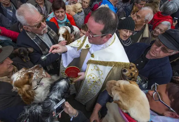 Дабраславеньне жывёл