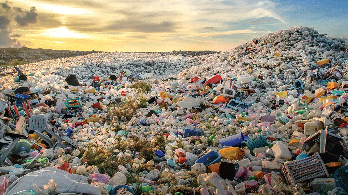 Prohibir las bolsas de plástico en Rusia: una buena idea que cambiará poco