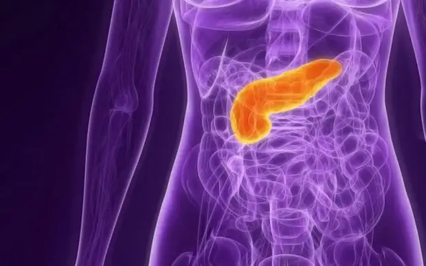 pancreas ທຽມຮັກສາລະດັບ glucose ໄດ້ປະສິດທິພາບຫຼາຍທີ່ສຸດ