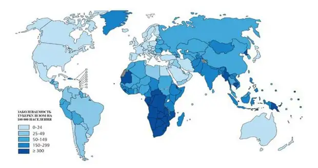 Vis dar gydo ar suluošina? medicina, visuomenė, faktai