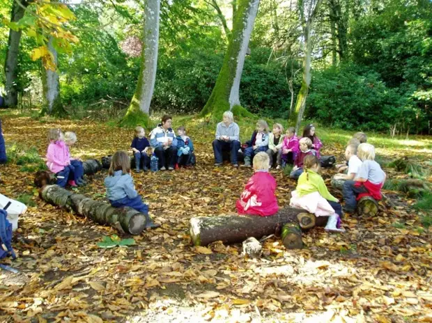 Você já ouviu falar sobre jardins de infância na floresta? Esta é uma nova abordagem para os pais.