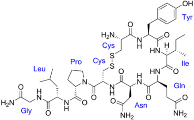 Meilės chemija