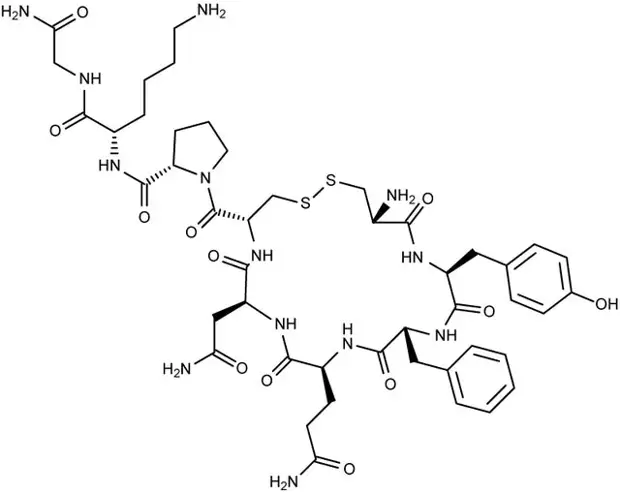 Meilės chemija