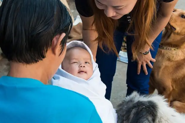 ミャンマーの野良犬救助者（写真20枚）