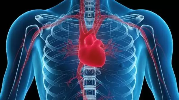 Early diagnosis of the cardiovascular system