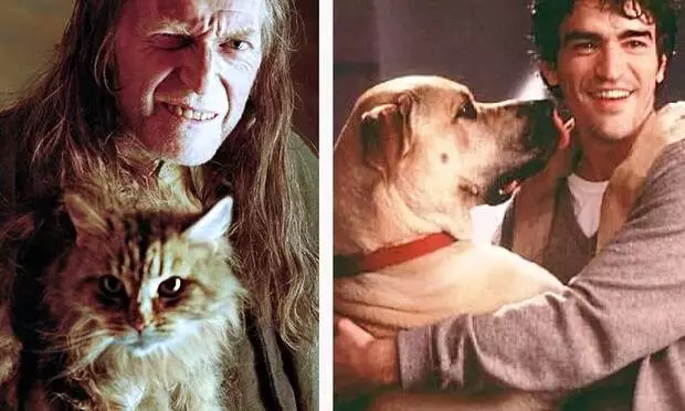 Amanti dei cani vs amanti dei gatti: gli scienziati hanno stabilito come differiscono i loro caratteri (notizia non molto piacevole per i proprietari di gatti)
