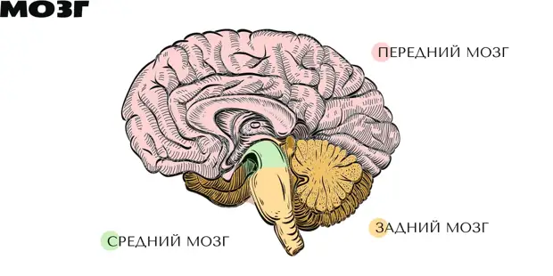 Майна танҳо дар бораи мураккаб аст