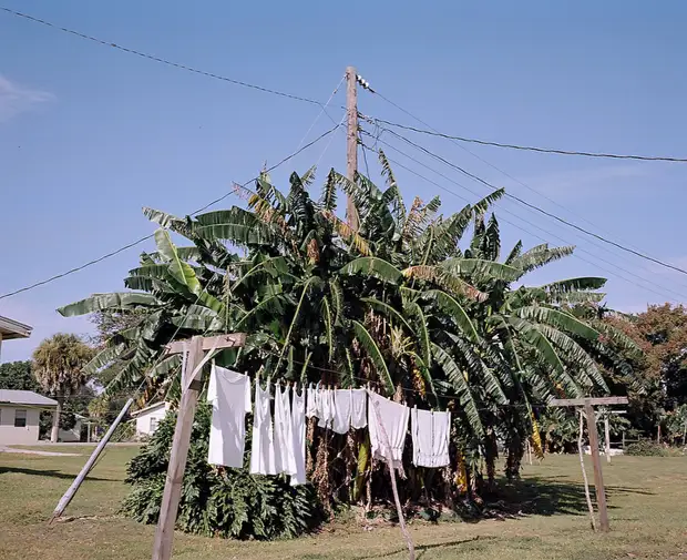 Kampung ajaib