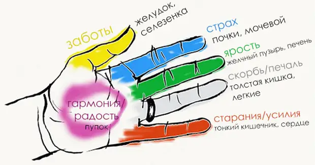 Stringi cinque dita diverse - e diventa più facile sia per l'anima che per il corpo