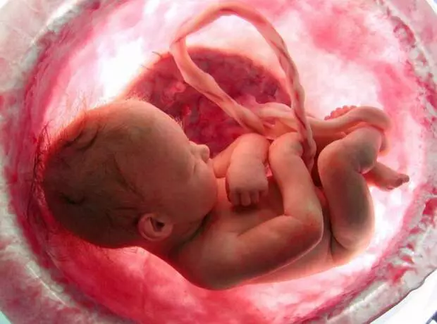 Vienkartiniai organai: 10 klausimų apie tai, kas nutinka nėštumo metu