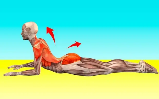 ISHIAS: 5 Back Pain Exercises Any Woman Can Do