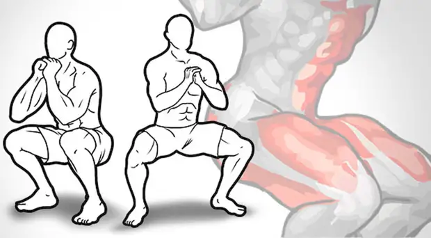 Gambe deboli - cuore debole! Cosa danno al tuo cuore gli squat?