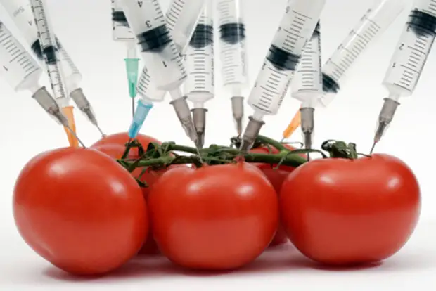 Gi-update sa Greenpeace ang blacklist sa mga prodyuser sa GMO