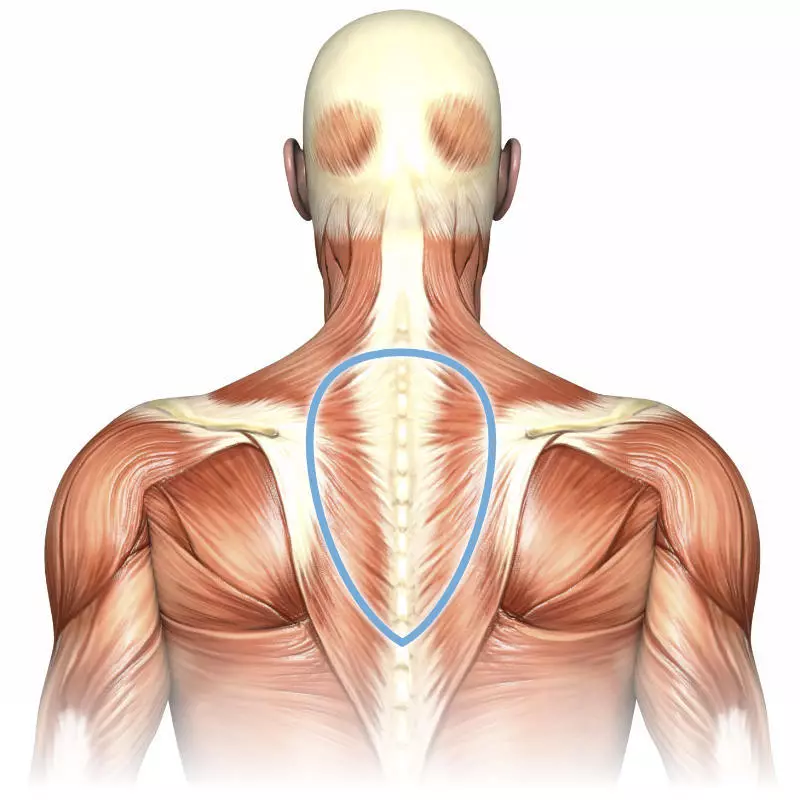 Tiến sĩ Bubnovsky: Cách tháo WIDOW HUMP